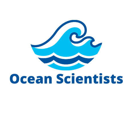 Arctic Sea Ice: Everything You Need To Know - Ocean Scientists