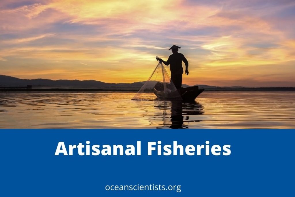 Artisanal Fisheries Meaning Characteristics Dangers Ocean Scientists