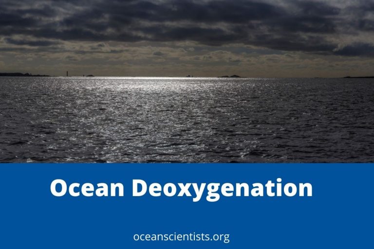 Ocean Deoxygenation And Its Effect On The Marine Ecosystem - Ocean ...